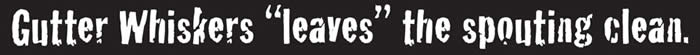 Home – Gutter Whiskers